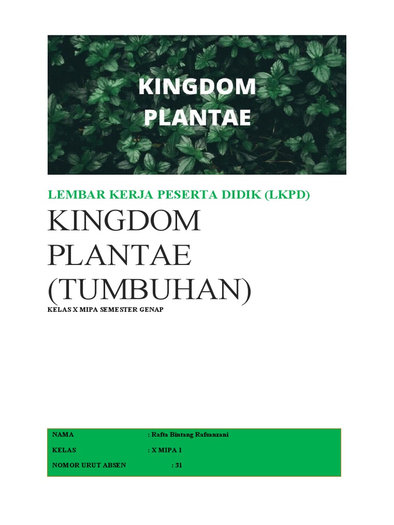 LKPD Plantae - Tumbuhan | PDF | Sains & Matematika