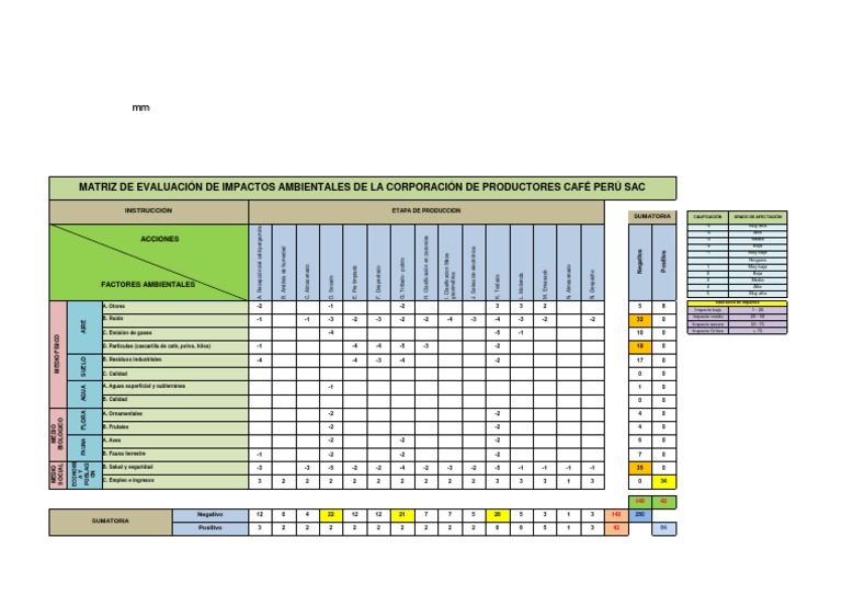 Matriz de Linea Base - Cafe Peru 111 | PDF | café | Entorno natural