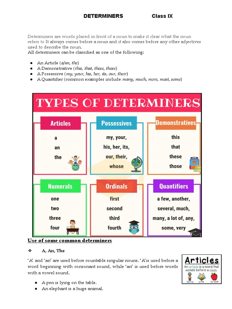 Determiners Class IX | PDF | Noun | Grammatical Number