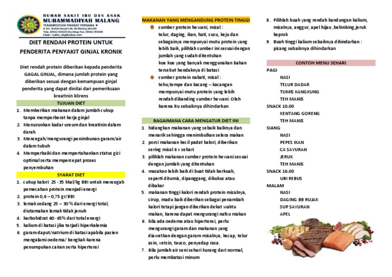 Diet Rendah Protein | PDF
