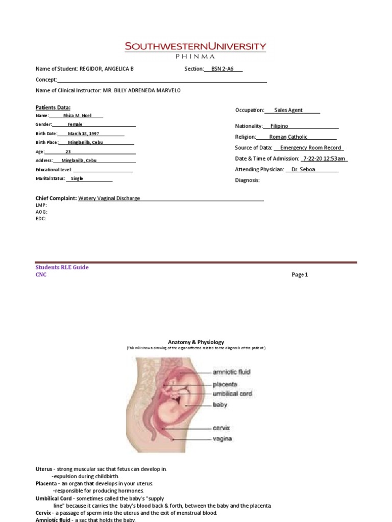 Case Study 8 | PDF | Preterm Birth | Childbirth