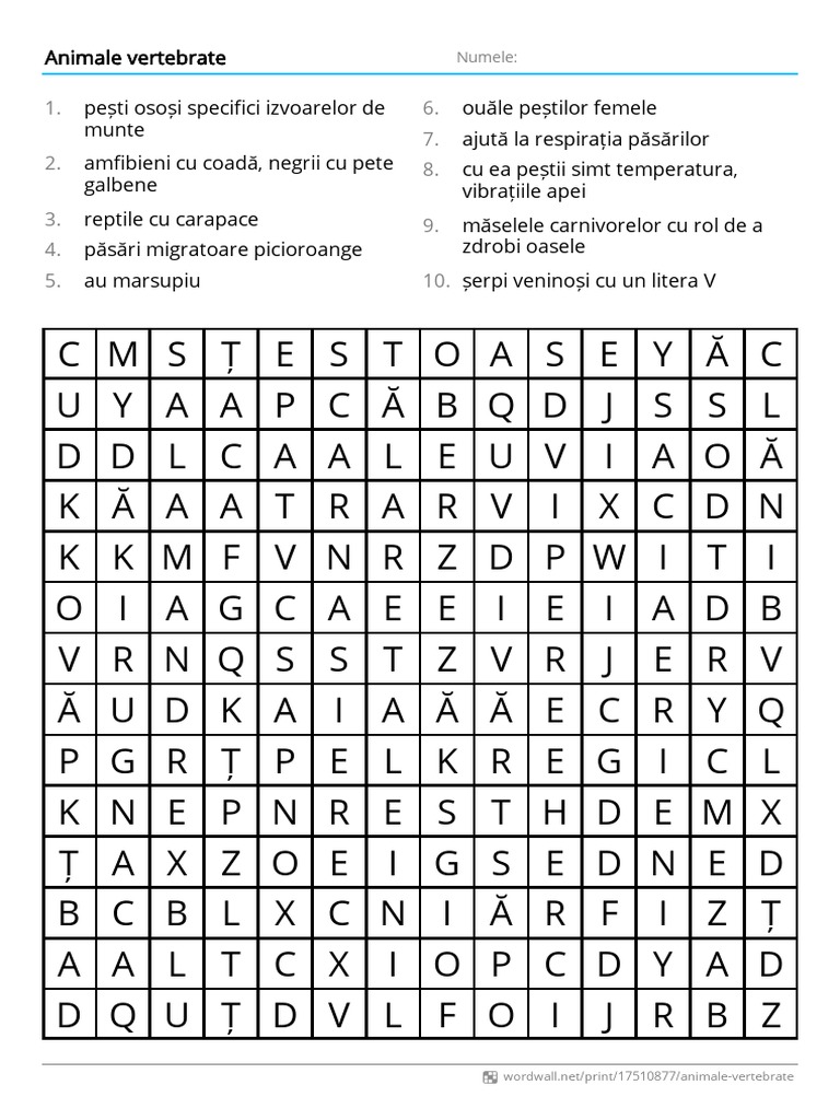 Test Cuvinte Incrucisate | PDF