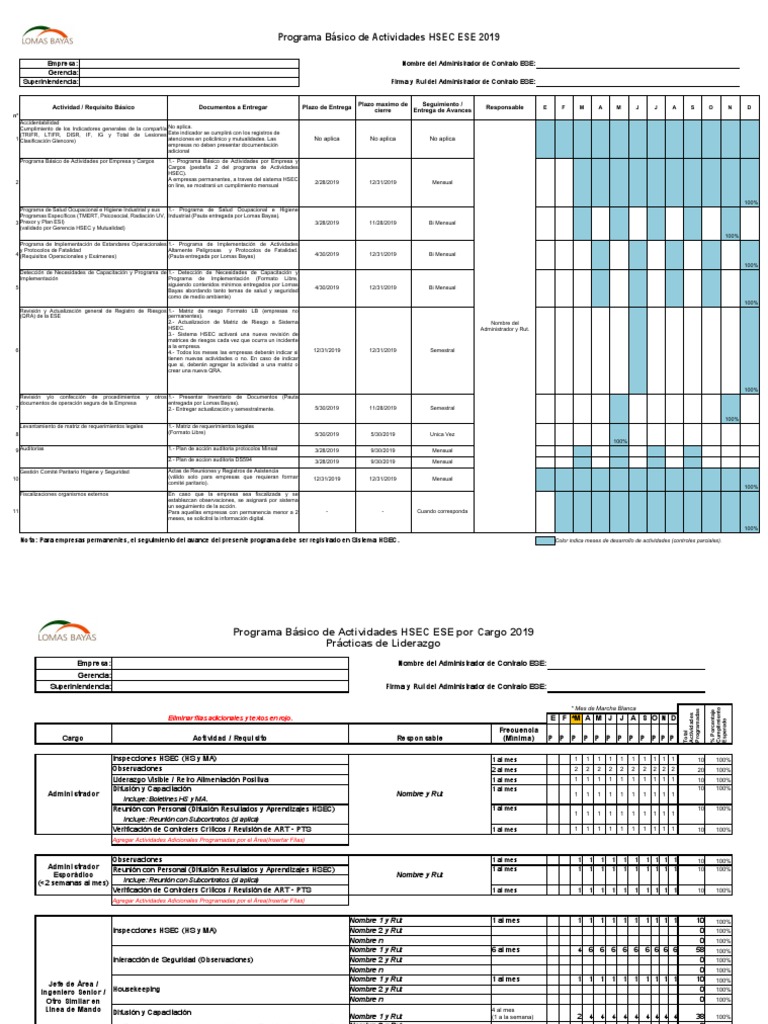 LB-IF-SSS-SLB-0035 - Programa Basico de Actividades HSEC ESE Integrado 2019 | PDF | Matriz ...