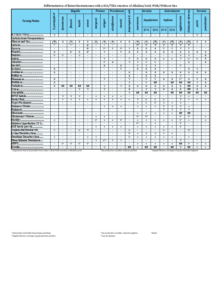 Tabel Uji Biokimia Landscape 1 | PDF | Bacteria