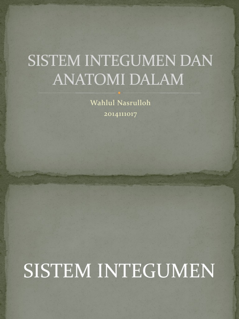 Sistem Integumen Dan Anatomi Dalam | PDF