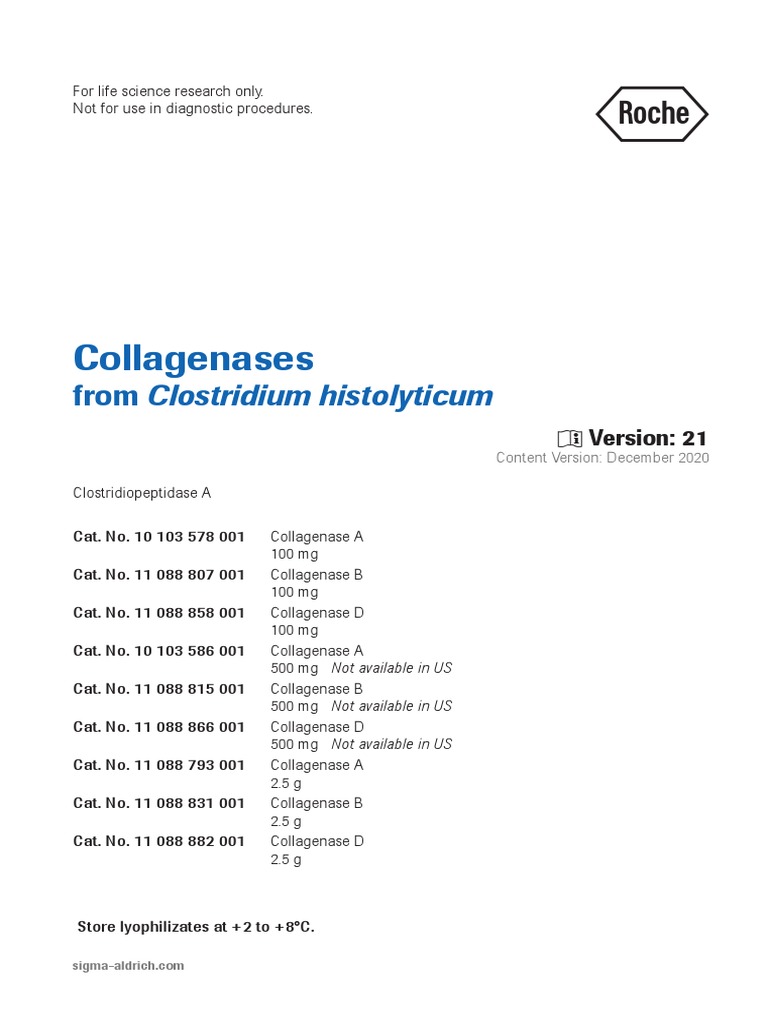 Collagenases: From Clostridium Histolyticum | PDF | Proteins | Collagen