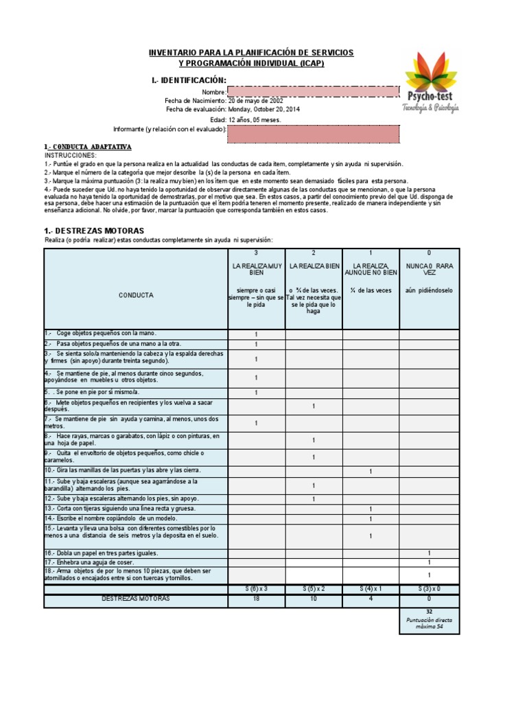 Plantilla Icap + Test V4 | PDF