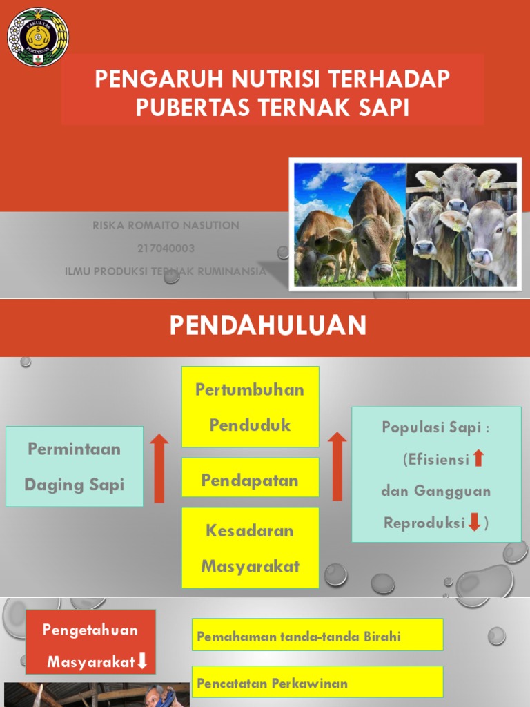 Nutrisi Pakan Ternak Ruminansia | PDF Nutrisi Pakan Ternak Ruminansia | PDF