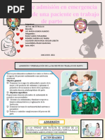 Erio-Equipo de Respuesta Inmediata Obstetrica | PDF | Reproducción ...