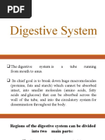 Shrimp - Digestive System | PDF | Human Digestive System | Stomach