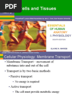 Cell Transport Concept-Map | PDF | Membrane Biology | Life Sciences