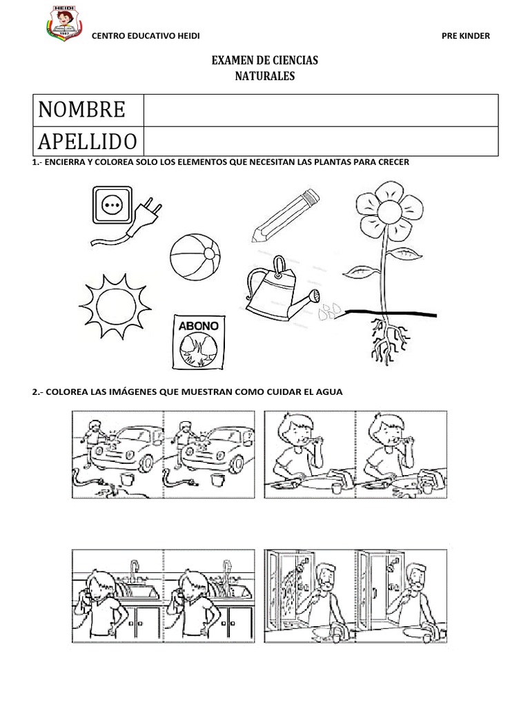 Examen de Ciencias para Pre Kinder | PDF