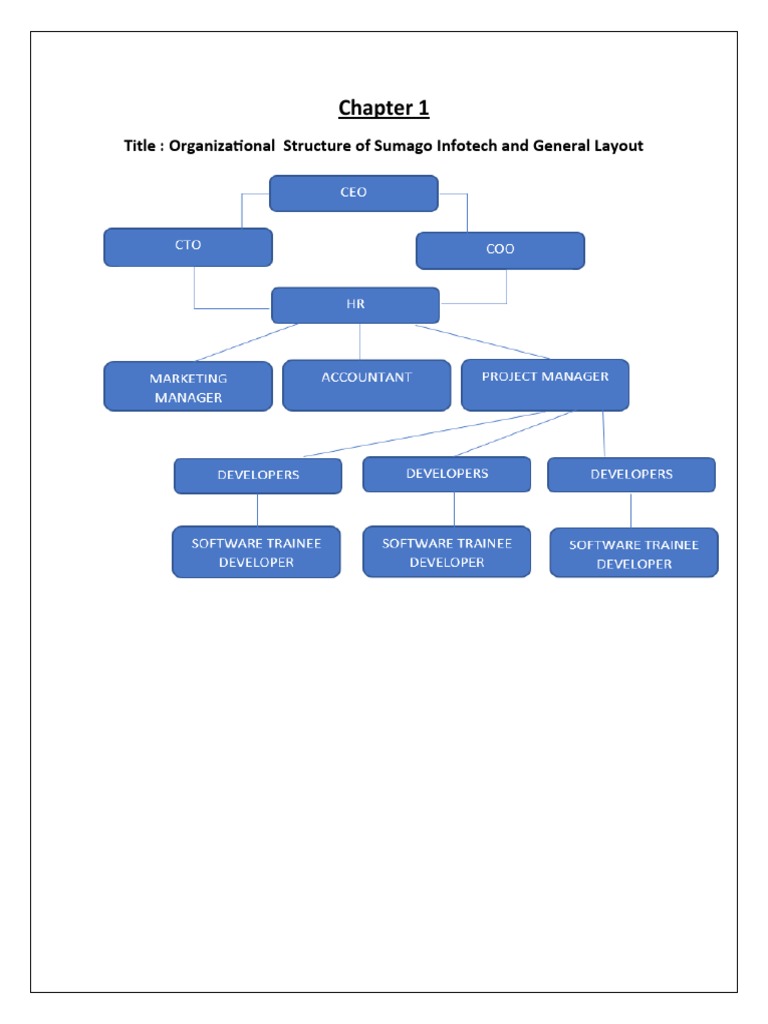 Title: Organizational Structure of Sumago Infotech and General Layout ...