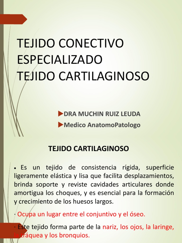 Nueva Clase Virtual Tejido Conectivo Especializado Cartilaginoso Ucv