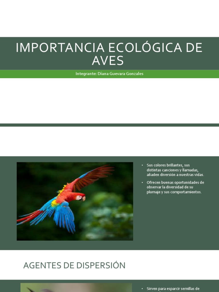 Importancia Ecologica de Aves | PDF