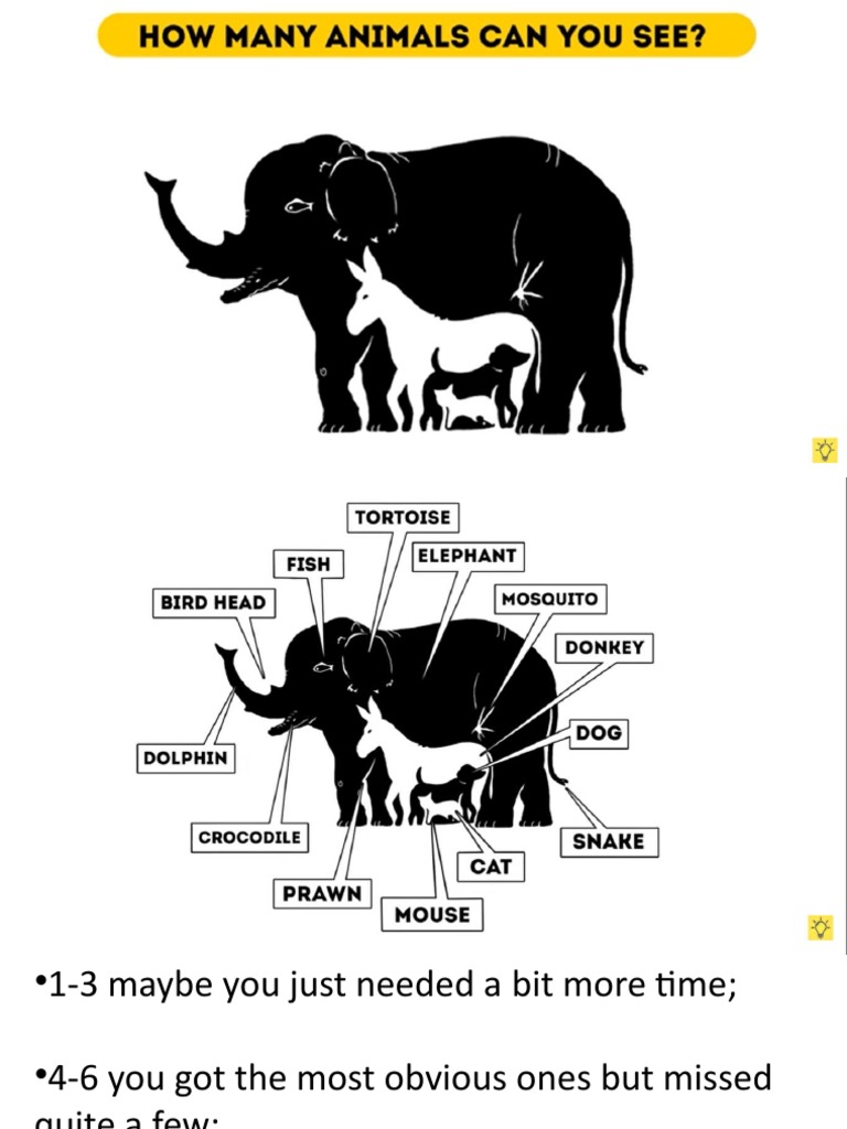 How Many Animals Do You See | PDF