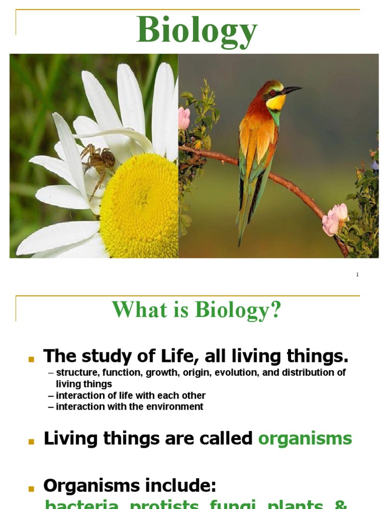 BIO 103 Lecture 1 | PDF | Life | Biology