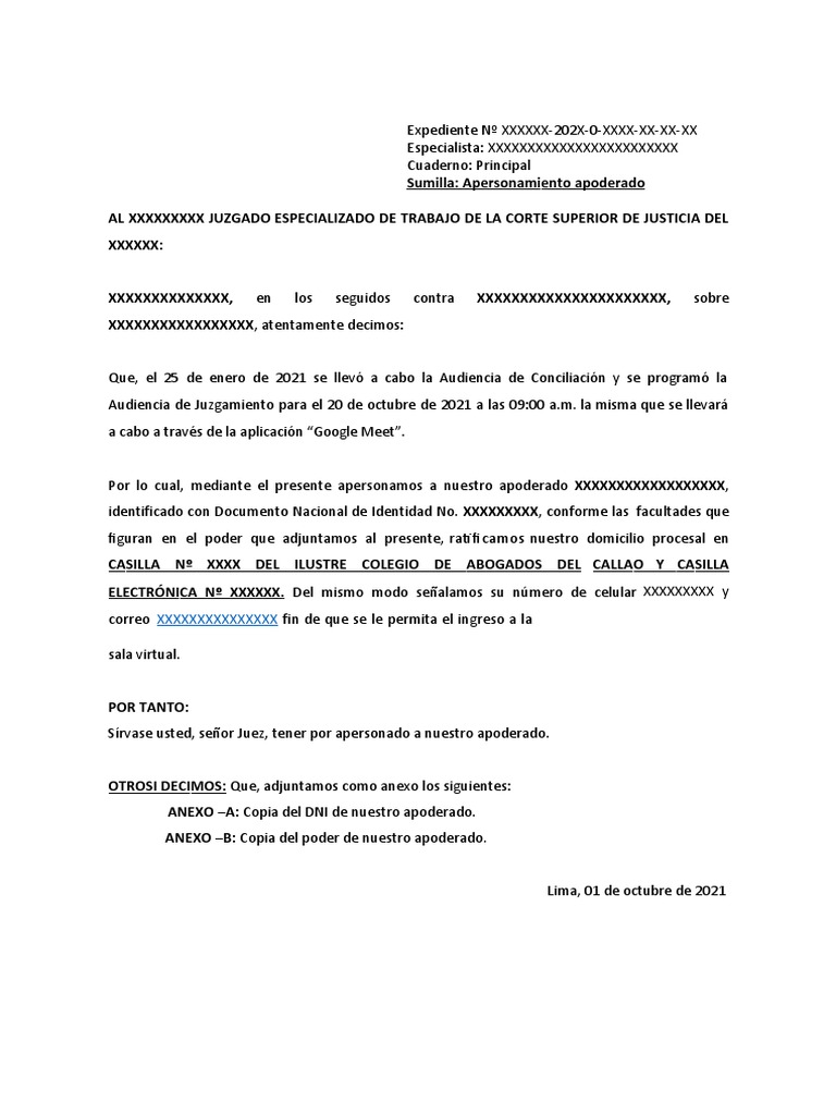 Modelo de Apersonamiento de Apoderado | PDF