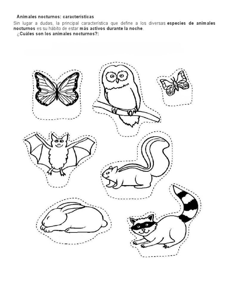 Animales Diurnos y Nocturnos | PDF