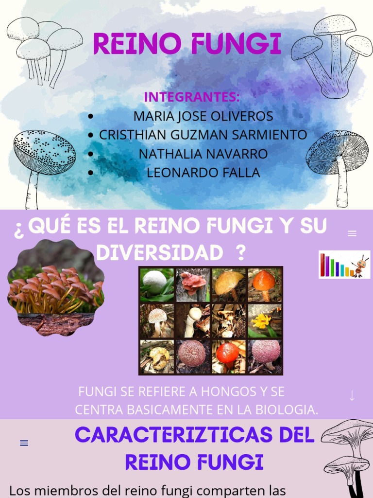 El Reino Fungi | PDF