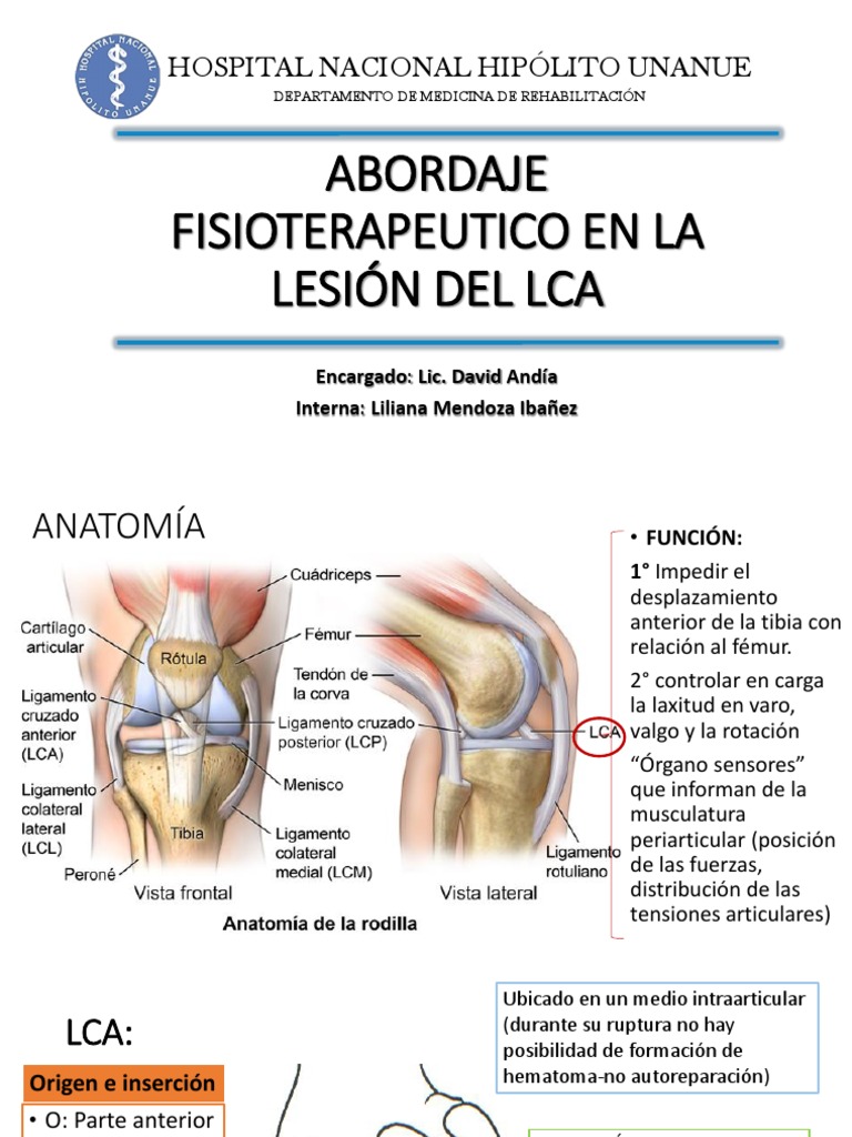 Fisioterapia en Lesion Del Lca | PDF | Rodilla | Ciencia de la danza