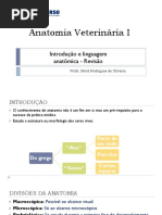 Aula 01 - EIXOS E PLANOS | PDF | Pé | Anatomia