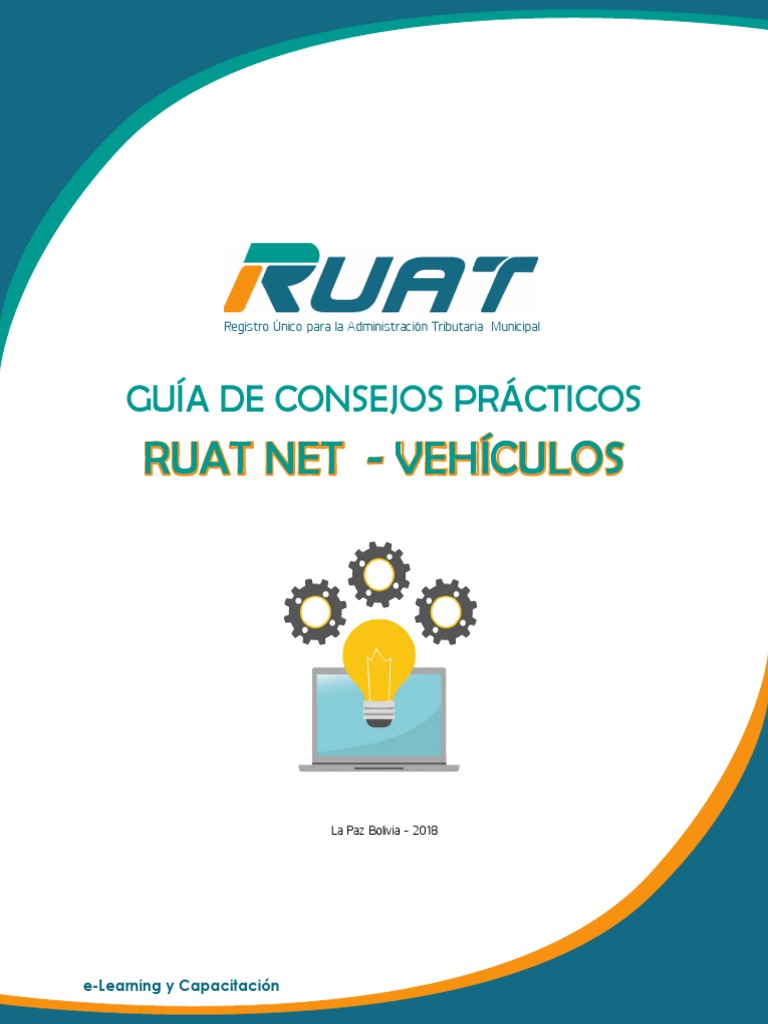 GUIA CONSEJOS PRÁCTICOS RUAT NET - Vehiculos | PDF