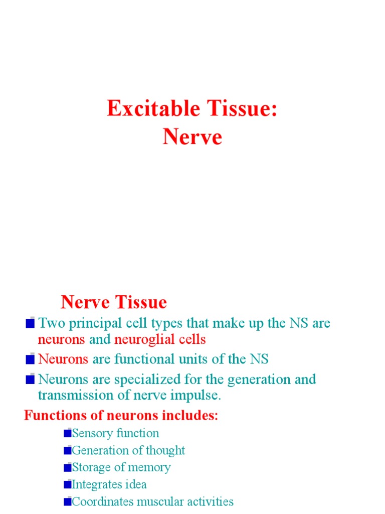 NERVOUS Physiology | PDF | Axon | Acetylcholine