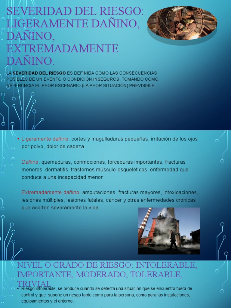 Severidad Del Riesgo | PDF | Riesgo