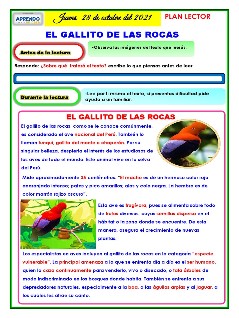 Aprendo en Casa 28-10-21 | PDF | Aves | Ornitología