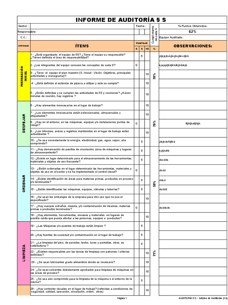 Formulario Auditorias 5S | PDF | Auditoría | Contaminación