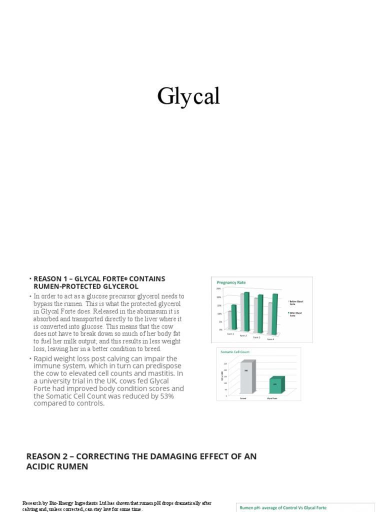 Benefits of Glycal Forte for Cows | PDF