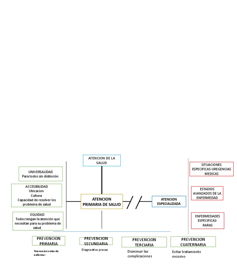 APS Modificado | PDF