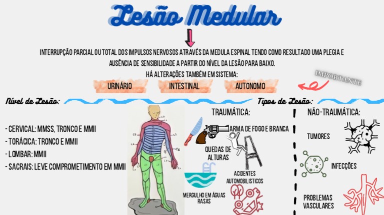 Lesão Medular | PDF
