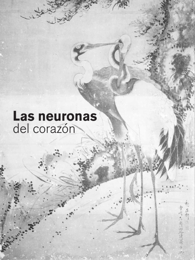 120A04-Las Neuronas Del Corazón | PDF | Corazón | Neurona