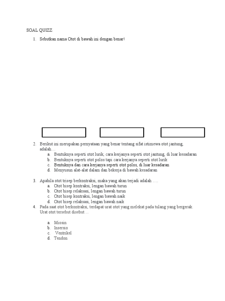 SOAL QUIZZ Muskuloskaletal | PDF