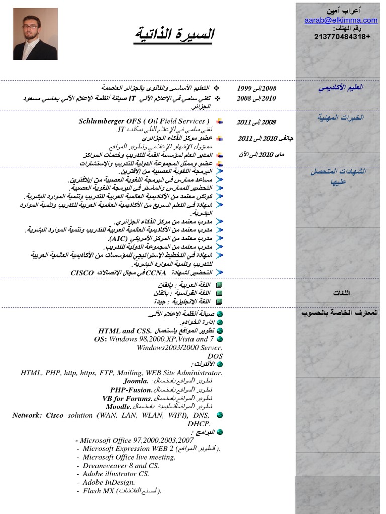 CV Arab Amine Arabic | PDF
