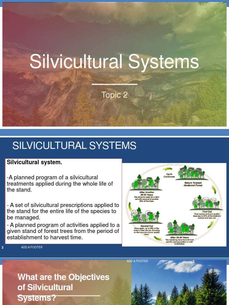 Overview of Silvicultural Systems | PDF | Pruning | Weed