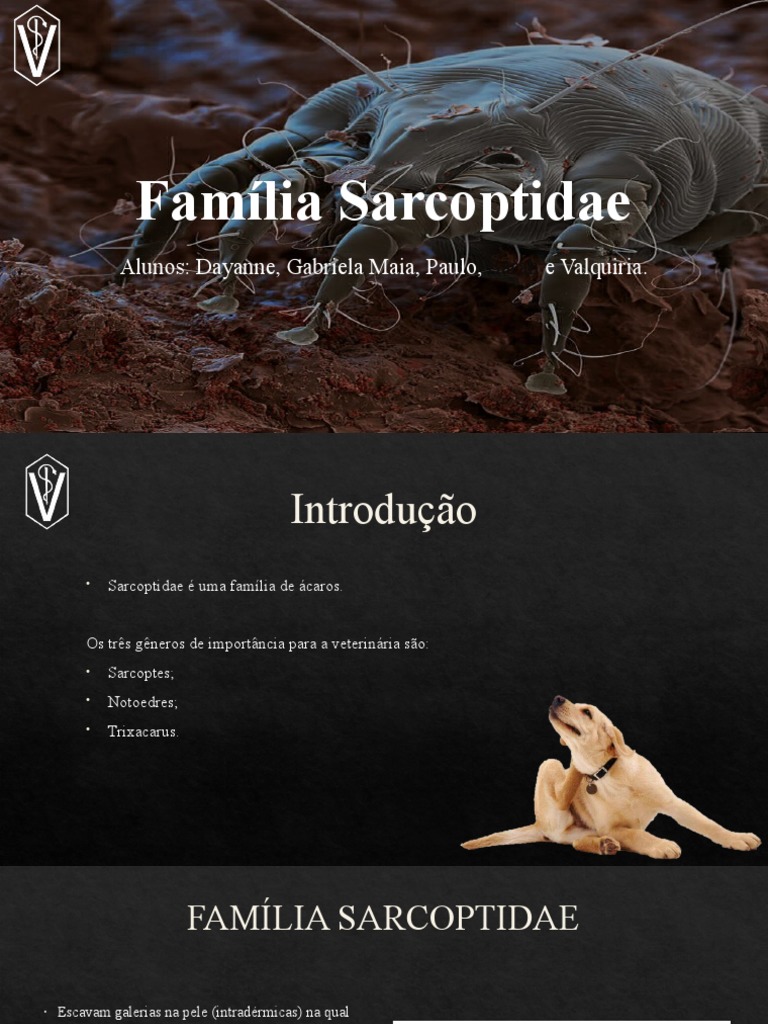 Família Sarcoptidae | PDF | Artrópodes | Biologia