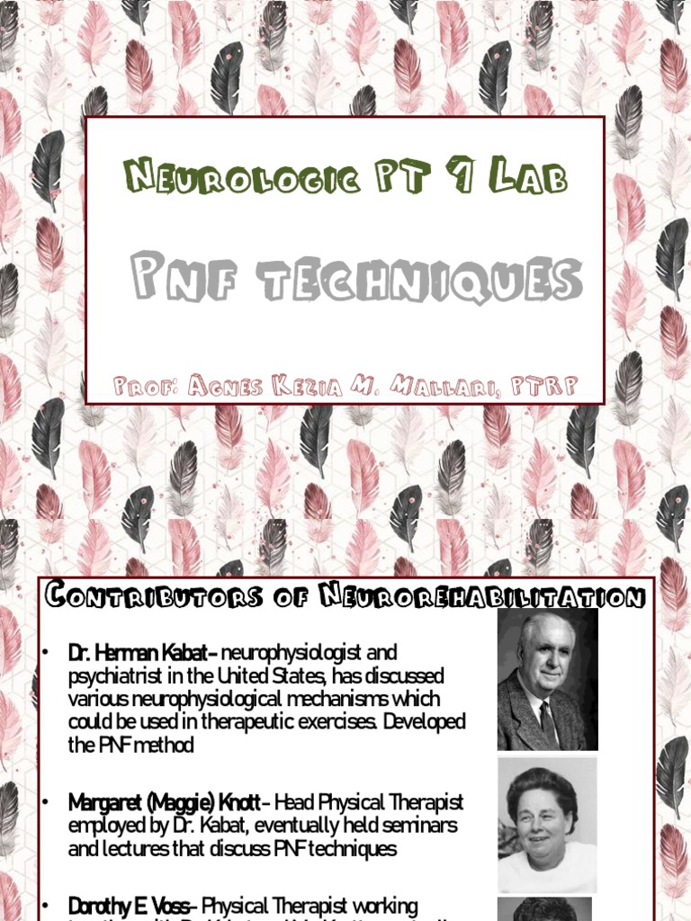 Neurologic PT 1 Lab: PNF Techniques | PDF | Anatomical Terms Of Motion ...