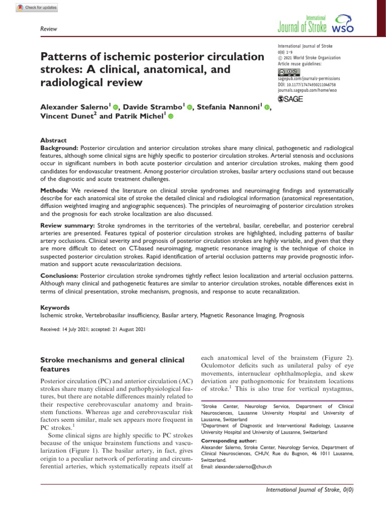 Patterns of Ischemic Posterior Circulation Strokes: A Clinical ...