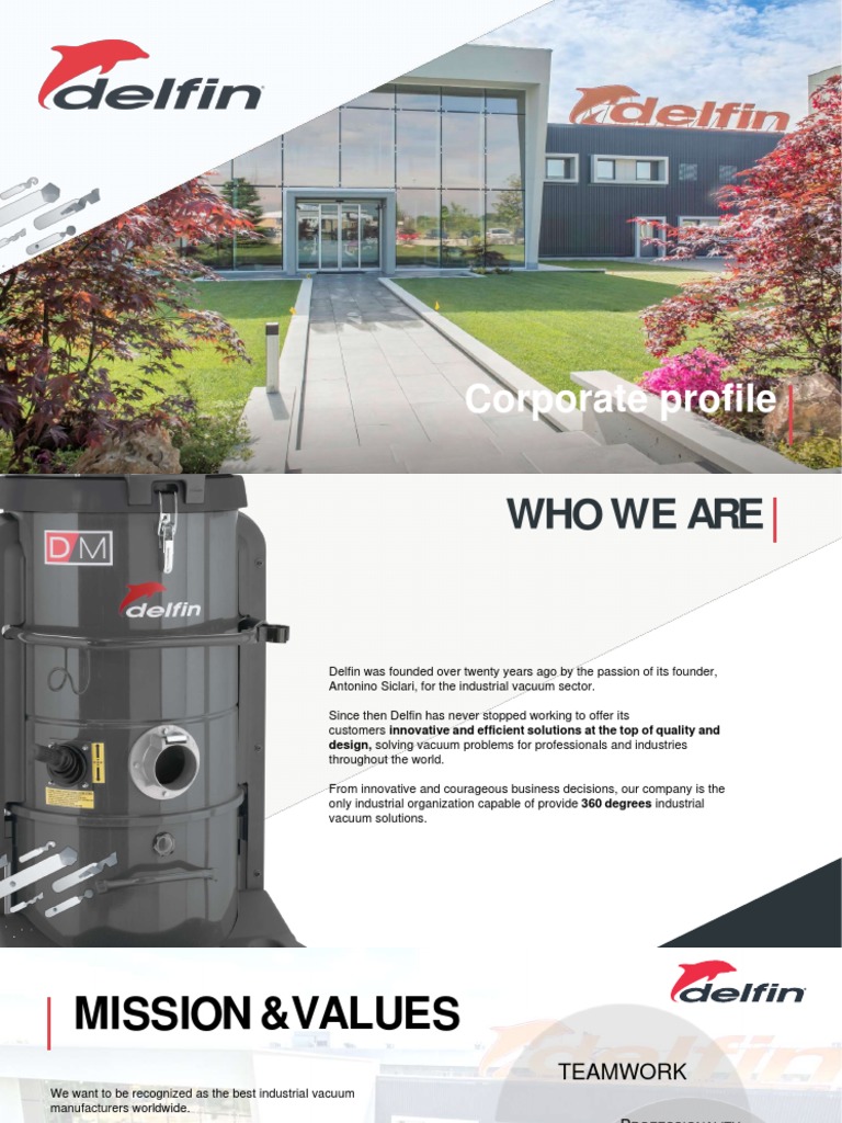 Delfin Corporate Presentation Extended 2.0 ENG 2018 | PDF | Vacuum Cleaner | Business