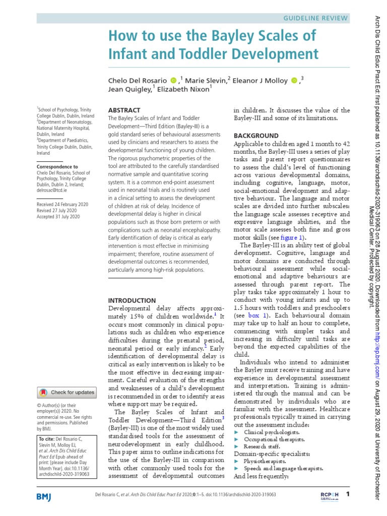 Bailey Assessment | PDF | Childhood | Family