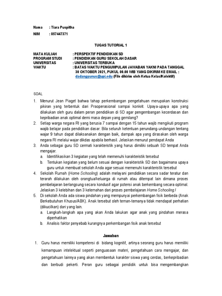 TT1 Perspektif | PDF