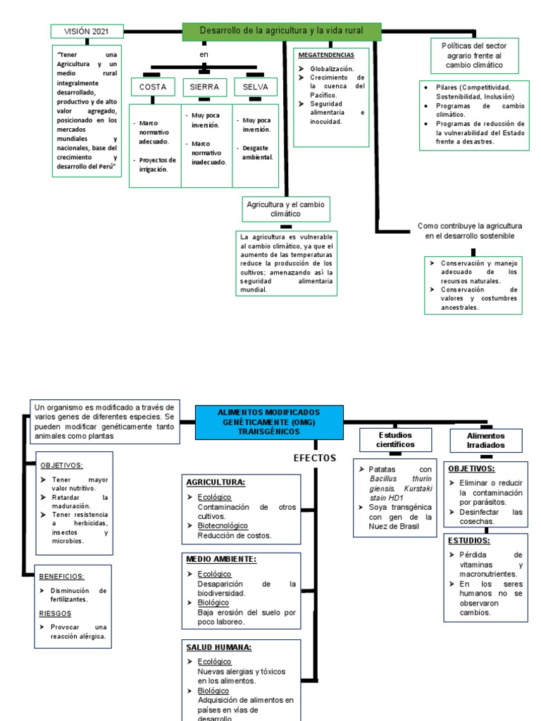 Mapa Conceptual Semana 5 | PDF | Agricultura | Organismo genéticamente modificado