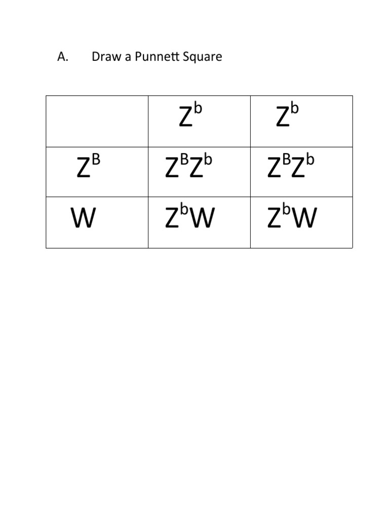 How to Draw a Punnett Square | PDF