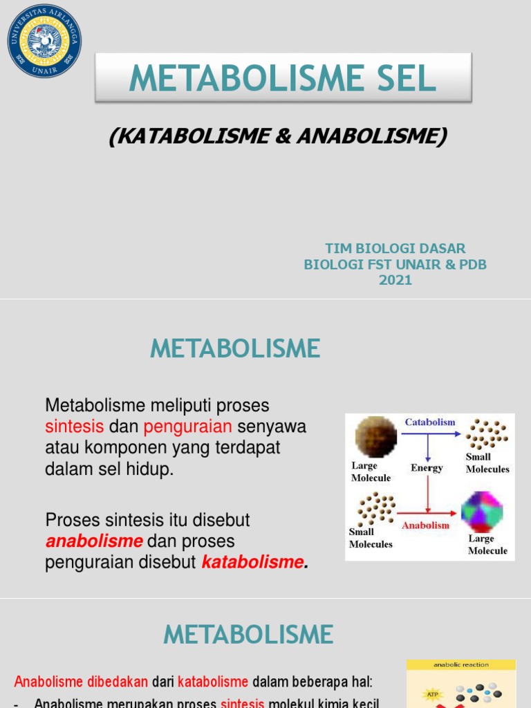 PDB Biologi Dasar Metabolisme | PDF