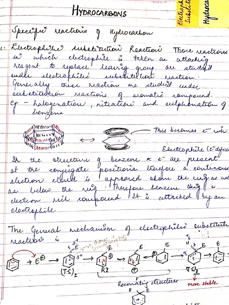 Hydrocarbons Notes Class11 | PDF