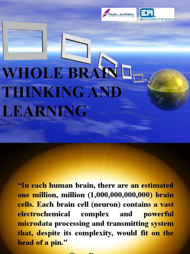 Whole Brain Thinking and Learning | PDF | Brain | Entrepreneurship
