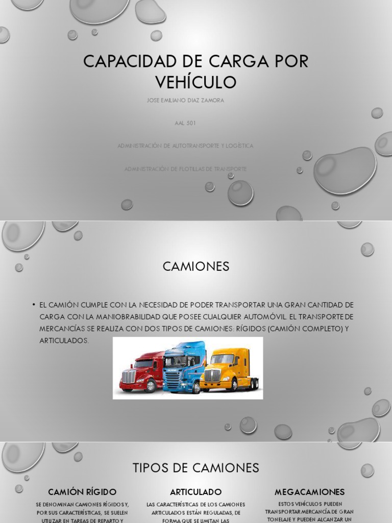 Capacidad de Carga Por Vehículo | PDF | Camión | Vehículos terrestres